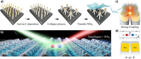 In Plane Excitonplasmon Polaritons In Monolayer Wse2 Driven By Download Scientific Diagram