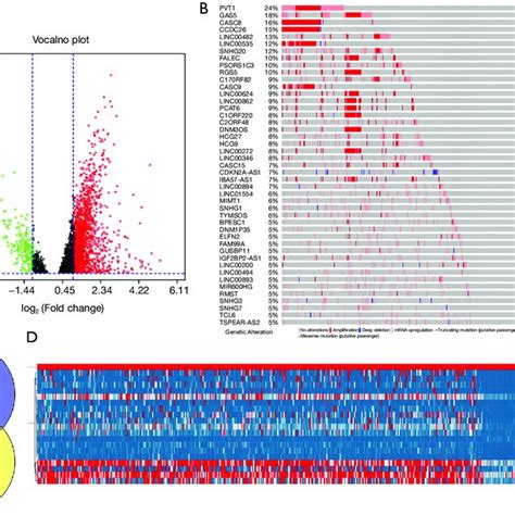 Lncrnas Identified In Hcc A Volcano Plot Of The Lncrnas That Are