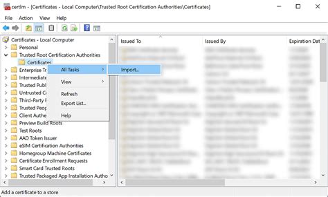 Implementing Client Certificate Authentication With Iis And Aspnet By Arseni Rynkevich Medium