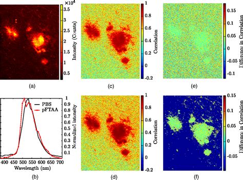 Hyperspectral Analysis Using The Correlation Between Image And Reference