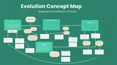 Evolution Concept Map By Ava Wilkes On Prezi