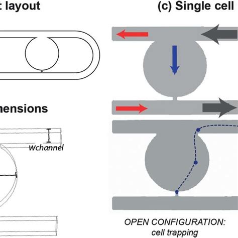 A Trapping Unit Layout Was Designed For Single Cell Trapping