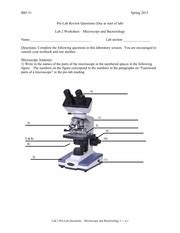 Lab Pre Lab Questions BIO Spring Pre Lab Review Questions Due At Start Of Lab Lab