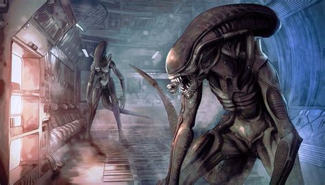 Xenomorph Alien Drawn By Yoracrab Danbooru