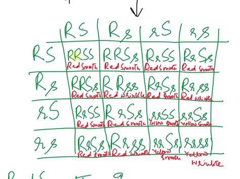 Solved What Are The Predicted Phenotype Ratios Among The Offspring Of
