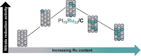 Nirala Singh Receives Nsf Career Award Chemical Engineering