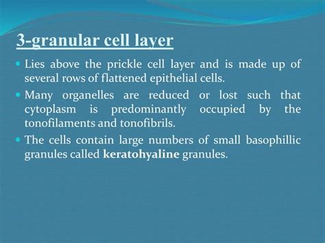 Oral Mucosa Seminar Definition And Characteristics Ppt