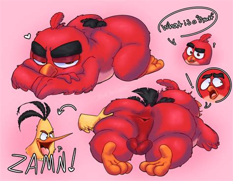 Rule 34 Angry Birds Anthro Anus Ass Avian Balls Bird Bird Brained