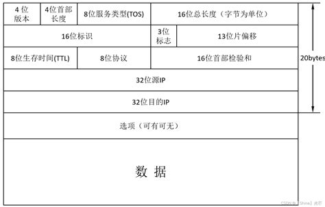 Linux网络编程：ip协议 Csdn博客