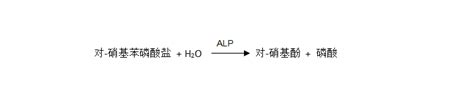 碱性磷酸酶（alp Akp）检测试剂盒用原辅料