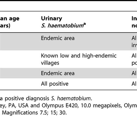 Nabothian Cyst Normal Cervical Surface With A Small Yellow Nabothian