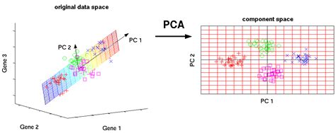 machine learning why are eigenvectors the principal components in
