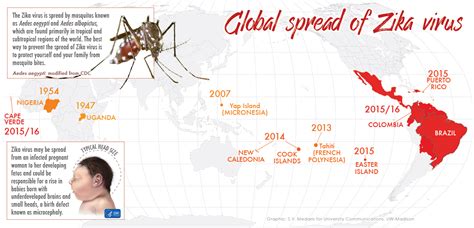 Uwmadison Researchers Begin Work On Zika Virus Uwmadison News
