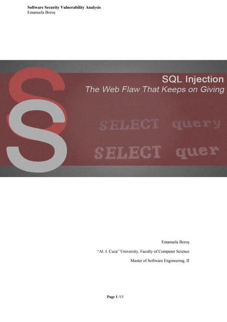 Software Security Vulnerabilityandattack Pdf