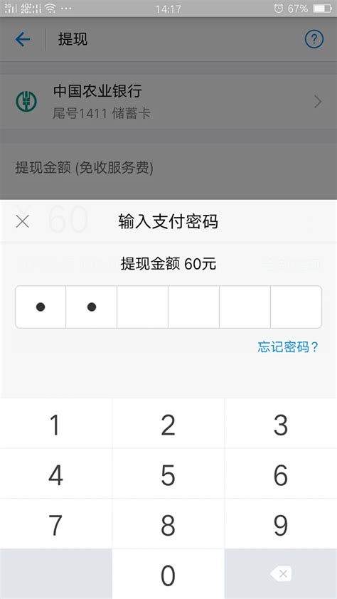 支付宝提现 输入密码 花瓣网