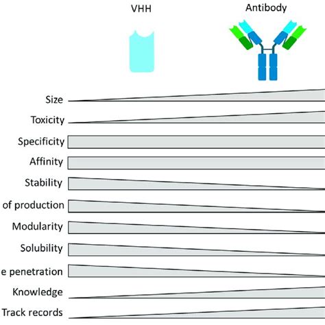 Structural Difference Between Antibody And Vhh A Conventional Download Scientific Diagram