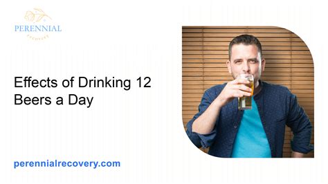 Effects Of Excessive Beer Consumption In A Day Perennial Recovery