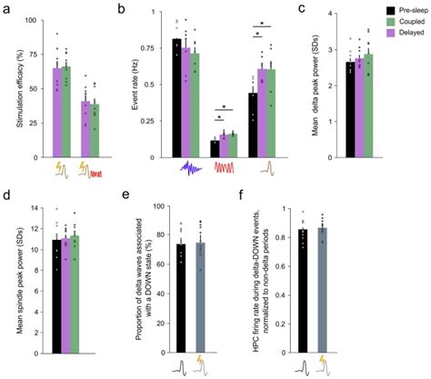 Hippocampo Cortical Coupling Mediates Memory Consolidation During Sleep Nature Neuroscience