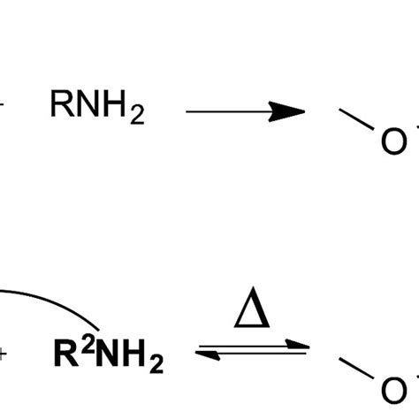 A Synthesis Of Vinylogous Urethane This Reaction Can Even Be