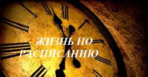 ЖИЗНЬ ПО РАСПИСАНИЮ 15 12 23 13 41 Пикабу