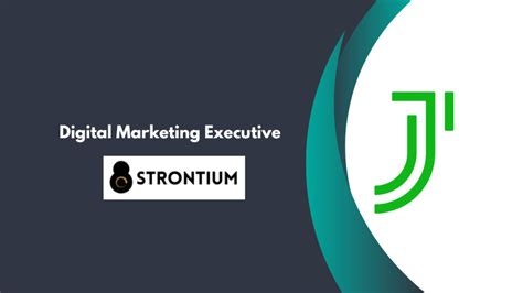 Digital Marketing Executive