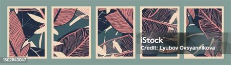 창조적 인 미니멀리스트 손 그리기 추상 미술 배경 트로픽 미적 삽화 열대 기후에 대한 스톡 벡터 아트 및 기타 이미지 열대 기후 우아 0명 Istock