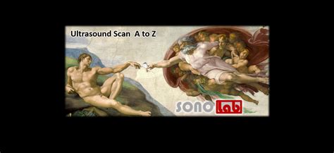 소노랩 초음파 온라인교육