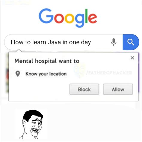 Programmer Life