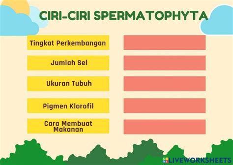 Spermatophyta 1691016 Diana Nur Mufida Live