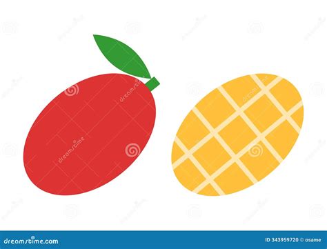 vector illustration of red mango front view and cross section stock