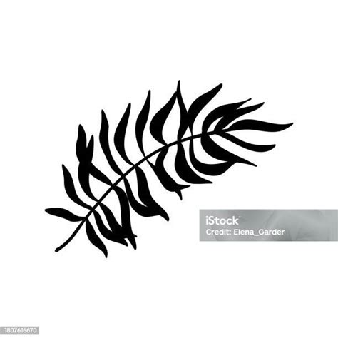 열대 나뭇잎 손으로 그린 정글 나뭇잎 세트 벡터 이국적인 Monstera 꽃 장식 세트 검은색에 대한 스톡 벡터 아트 및 기타 이미지 검은색 관목 나무 Istock