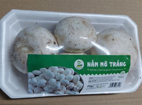 Nấm Mỡ Nâu D Chi Bán Nấm Mỡ Nâu Chuyên Cung Cấp Nấm Mỡ Nâu