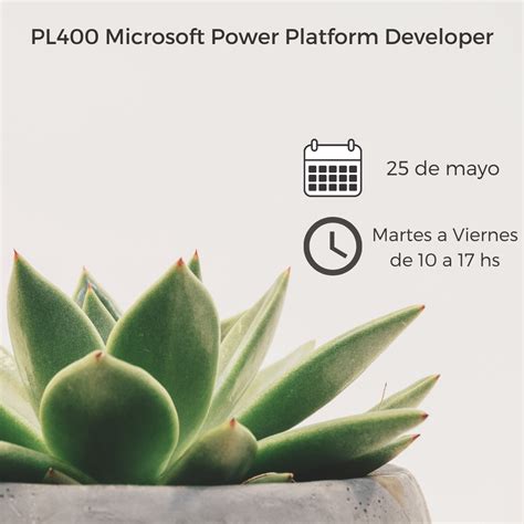 pl400 microsoft power platform developer cuti