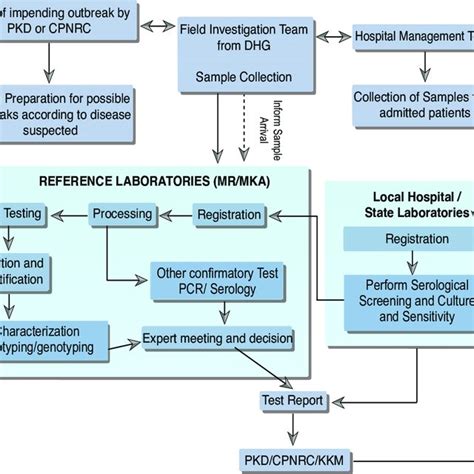 Flowchart Of Laboratory Involvement For Human Samples Download Scientific Diagram