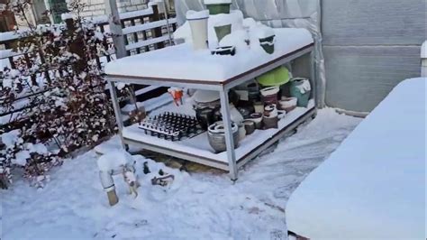 추운날씨 다육이들 괜찮은가요~~ Youtube