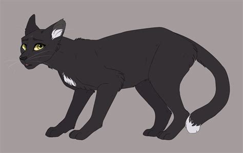 Why Ravenpaw Deserves A Warrior Name By Bluefire Blogclan