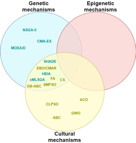 how bio inspired algorithms fit into biological sources for phenotypic