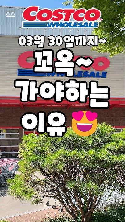 코스트코 03월 30일까지 꼬옥~ 가야하는 이유 코스트코 Costco 코스트코추천템 Costcoshopping 코스트코에서꼭사야할것 Youtube