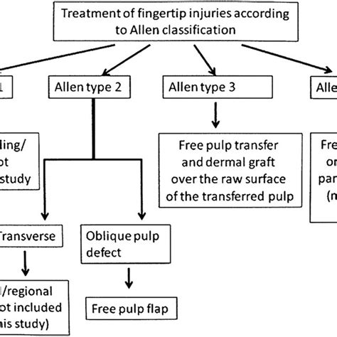 Algorithm Of Fingertip Injuries Treatment According To Allen Download Scientific Diagram