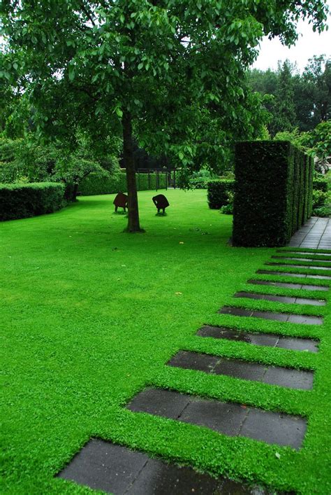 Best Images About Bluestone Walkway On Pinterest Patio Walkways And Limestone Pavers