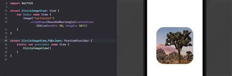 Swiftui Image View 사용해보기 Eunjoo