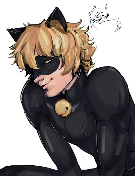 Cat Noir Fan Art Rmiraculousladybug