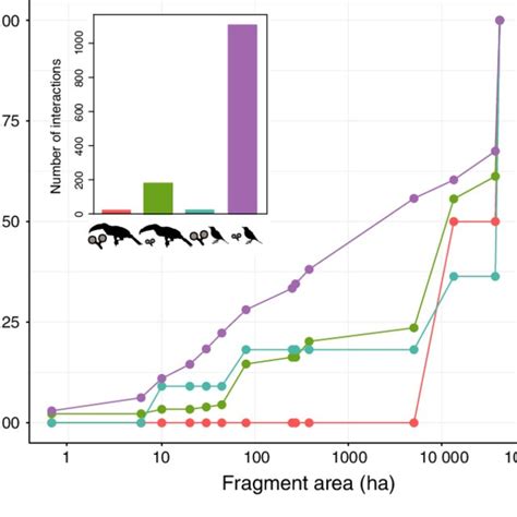 Frequencies Of Four Functional Groups Of Bird Fruit Interactions In