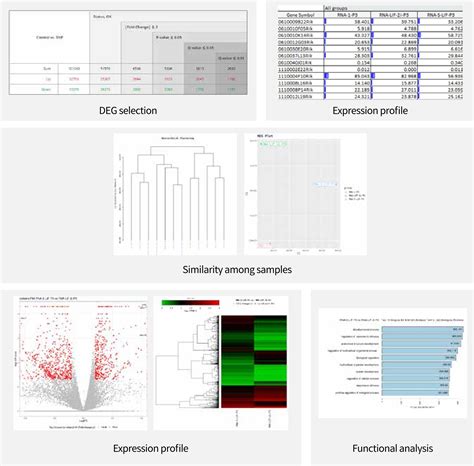 Mrna Sequencing — Las