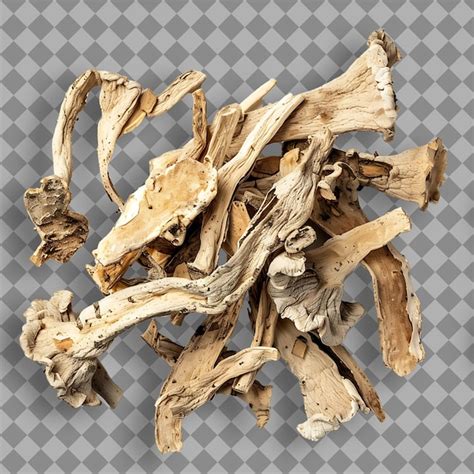 White Atractylodes Type Of Herb Atractylodes Macrocephala Fo Isolated