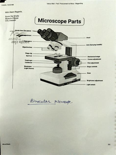 Microscope Practical Physio Pdf Materials Science Equipment