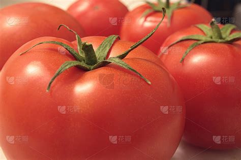 Tomatos