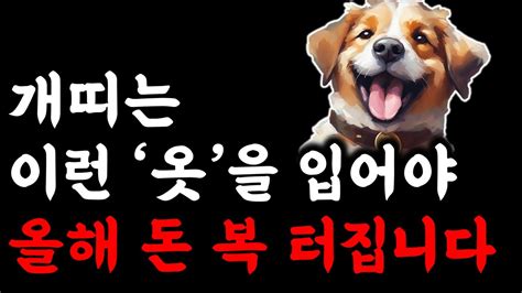 개띠 부자 됩니다 개띠는 이런 옷을 자주 입어야 큰 돈이 들어옵니다 2024년 갑진년 대박나는 개띠운세 46년생 58년생 70년생 82년생 94년생 06년생 개띠 운세