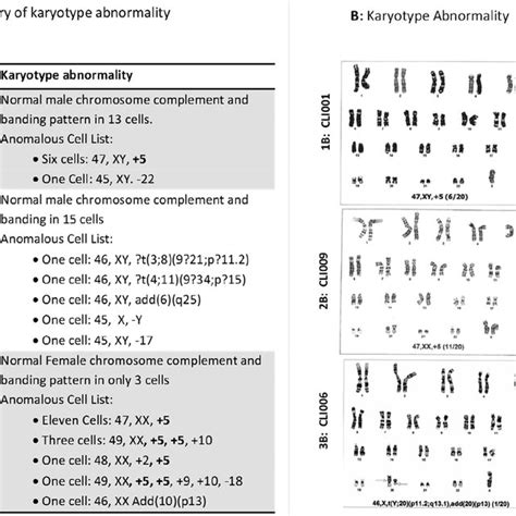 mscs batches with abnormal karyotype three cli patientÀderived msc