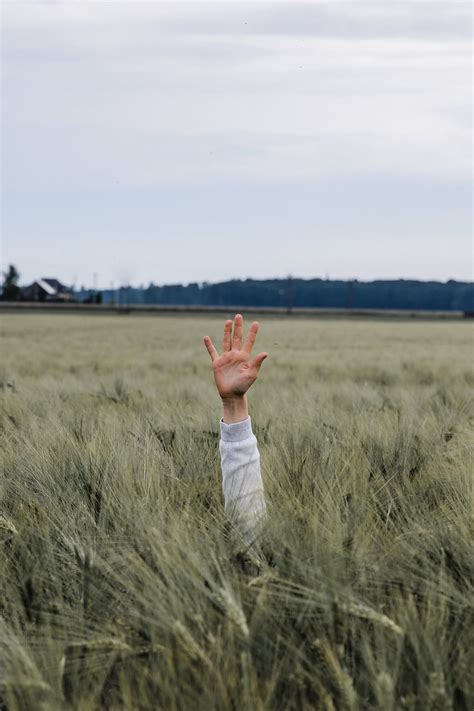 Introverts Can Become Leaders — Communicating Psychological Science